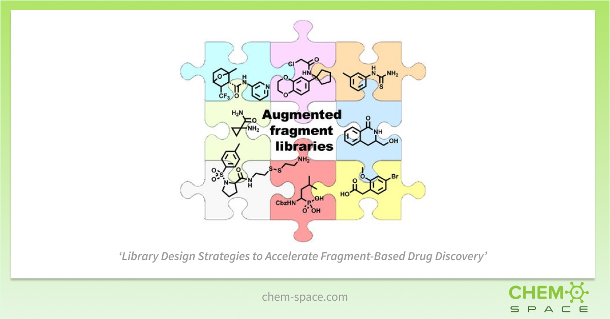 Chemspace | Augmented fragment libraries. FBDD Campaign. Post #1