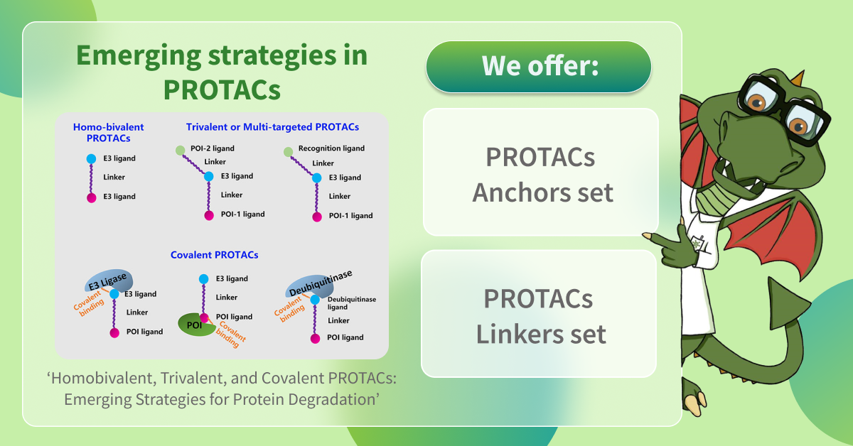 Emerging strategies in PROTACs